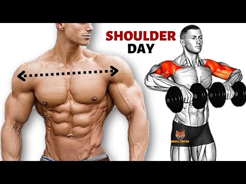The Top 7 Shoulder Exercises For Bigger Shoulder In The GYM - YouTube