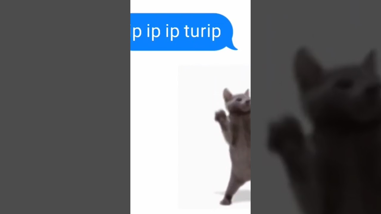 Turip ip ip - YouTube
