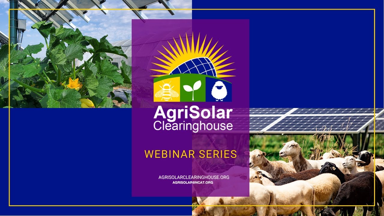 WEBINAR: Made in the Shade: Growing Crops under Solar Panels - YouTube