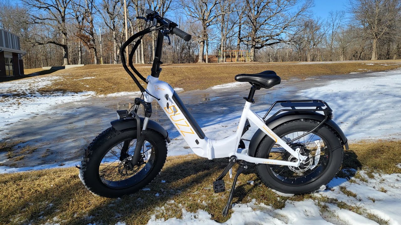 Buzz Centris Fat Tire Ebike Review - YouTube