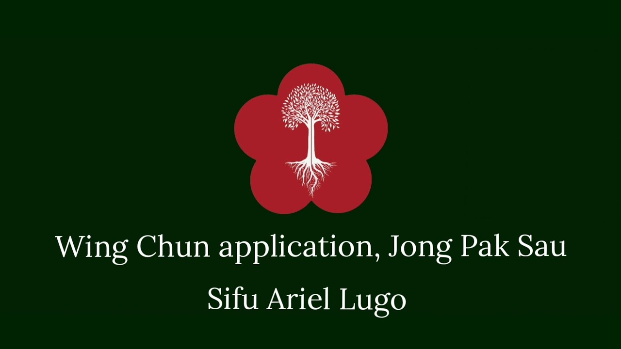Jong Pak Sau (wooden dummy slap block) application. - YouTube