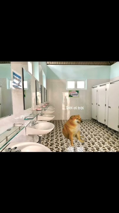 ông Nội Nào ỉa Ra Ngoài Trong Bồn Cầu Shorts Cheems Memes Funny Haihuoc Youtube