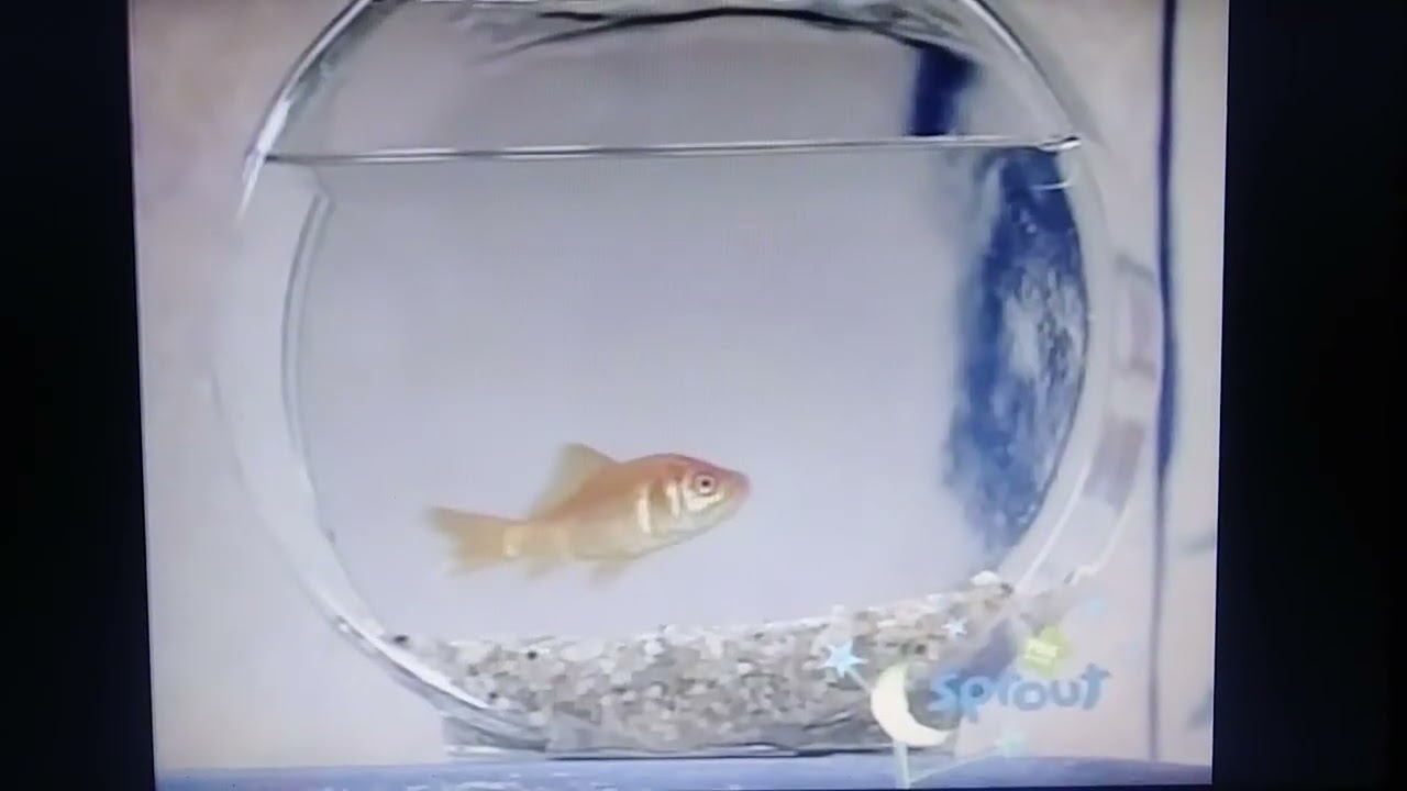 Elmo's World Babies Intro - YouTube