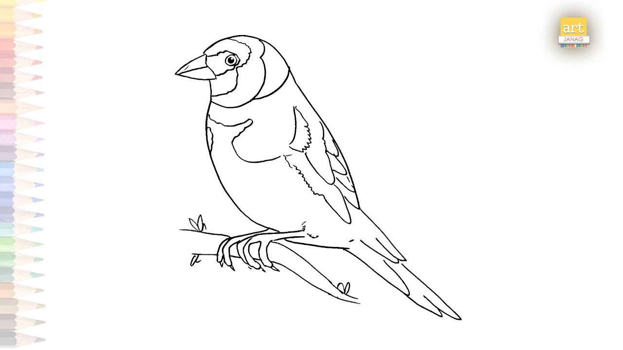 European goldfinch drawing easy | Art sketches | How to draw European ...