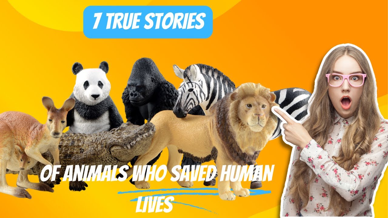7 True Stories of Animals Who Saved Human Lives - YouTube