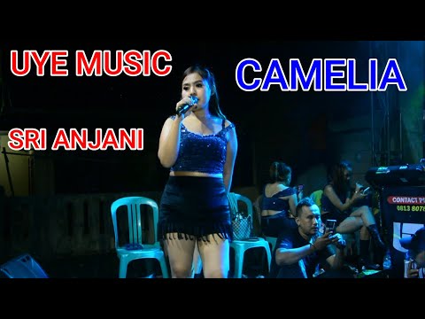 //CAMELI //SRI ANJANI// - YouTube