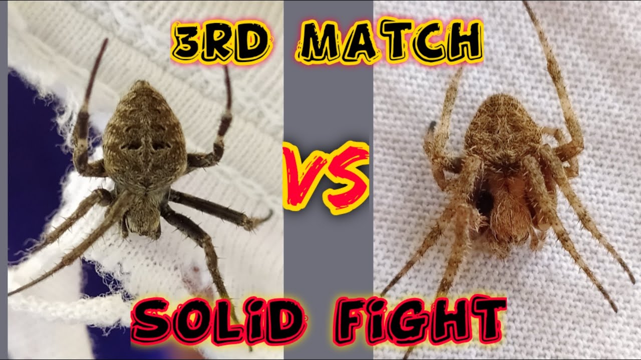 PART 3 - GAGAMBANG BAHAY VS DERBY - CLASSIC FIGHT 🔥 💯 - YouTube