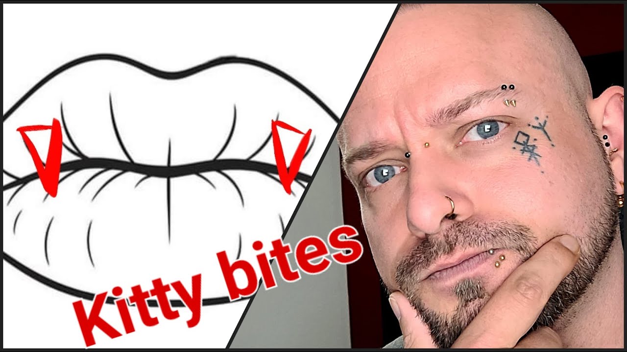 Kitty bites Piercing-Kombi - YouTube