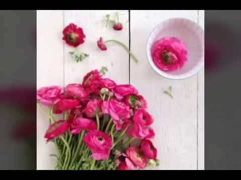 En tatlı en güzel çiçekler🌺🌺🌺