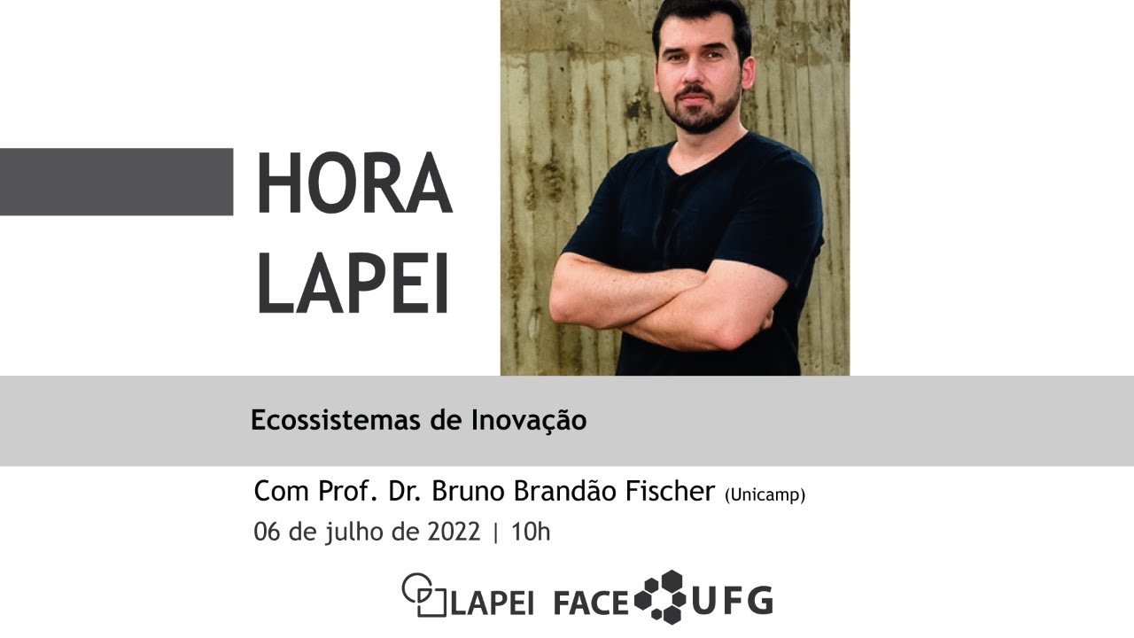 Hora LAPEI com Bruno Fischer - Ecossistemas de Inovação - YouTube