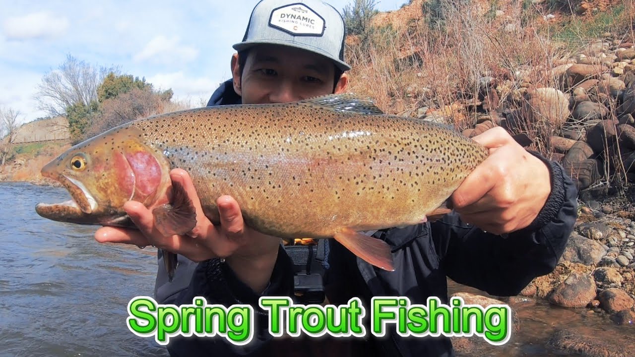 BIG TROUT! Spring Fishing for Trout! - YouTube
