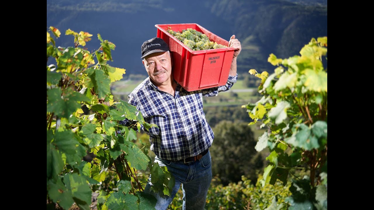 Primus Classicus - Rene à St. German - YouTube