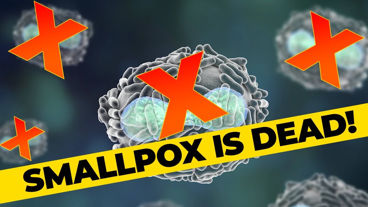 How to defeat a virus much deadlier than COVID - YouTube