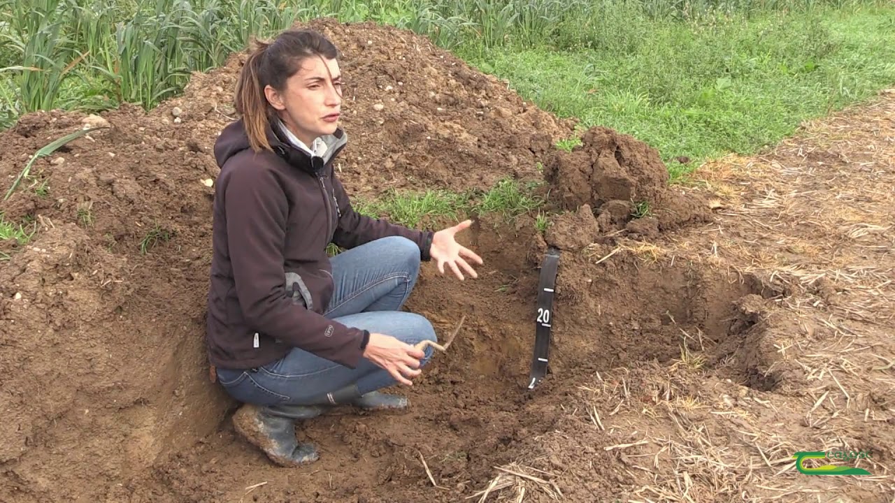 Soil Compaction - Double spade method - YouTube