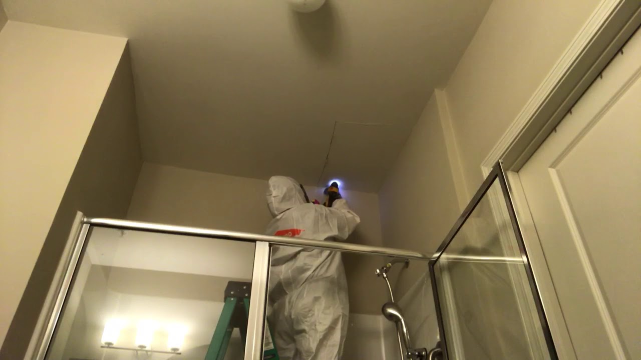 SERVPRO Can Help With Biohazard Cleanup - YouTube