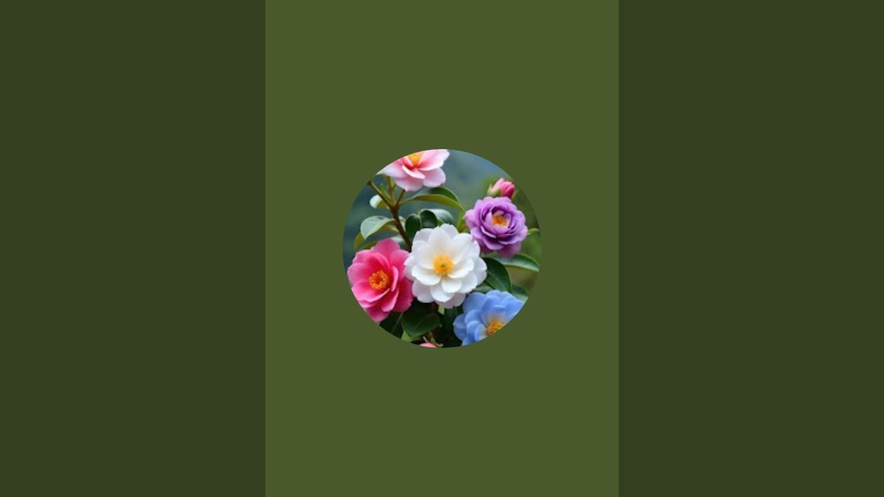 shubh_arora is live! - YouTube