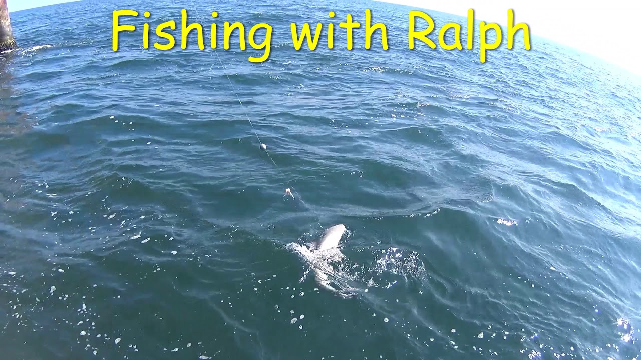 Fishing with Ralph Shark - YouTube