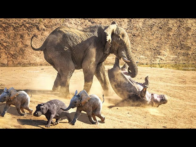 Mother Protecting Babies
