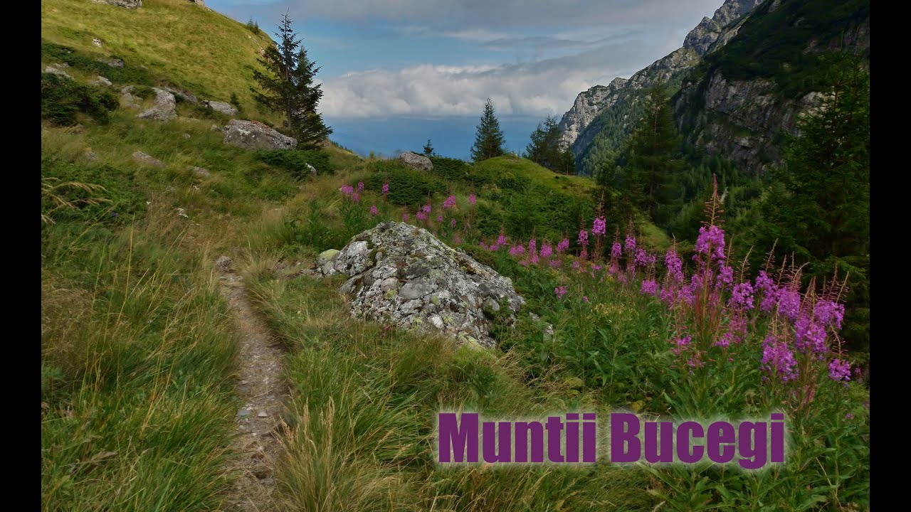Telecabina Busteni - Babele -Sfinxul - Valea Cerbului - YouTube