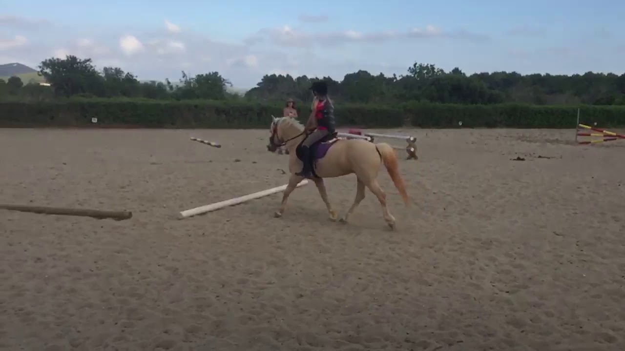 Horse riding - YouTube