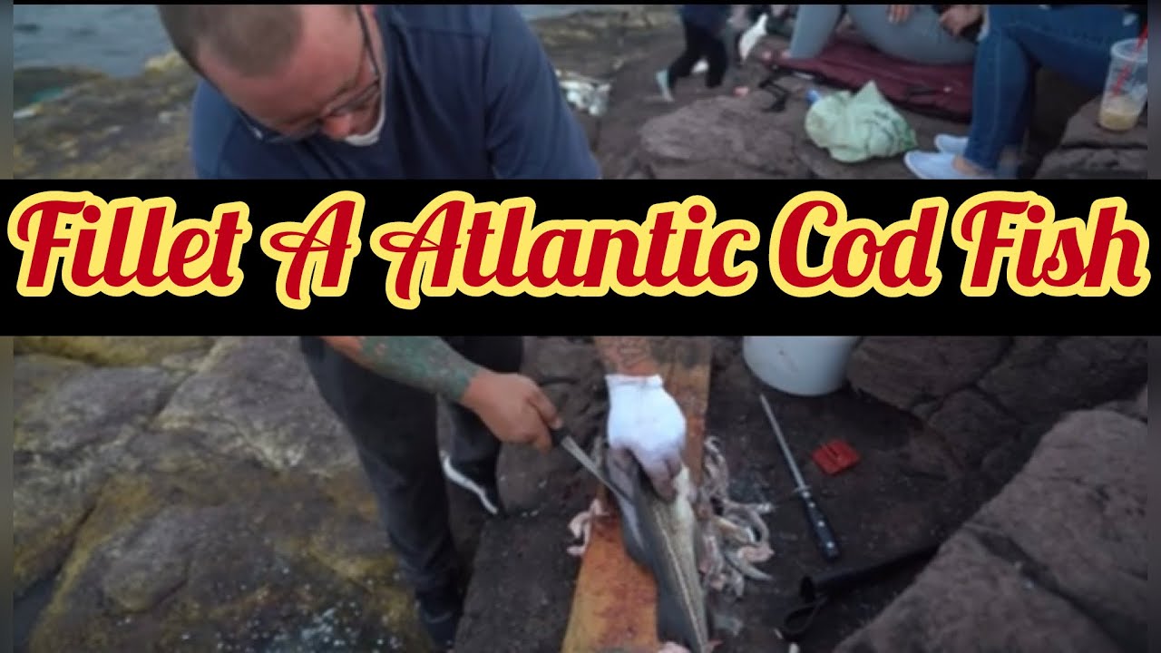 Family and Friends Cod Fishing In Newfoundland. - YouTube