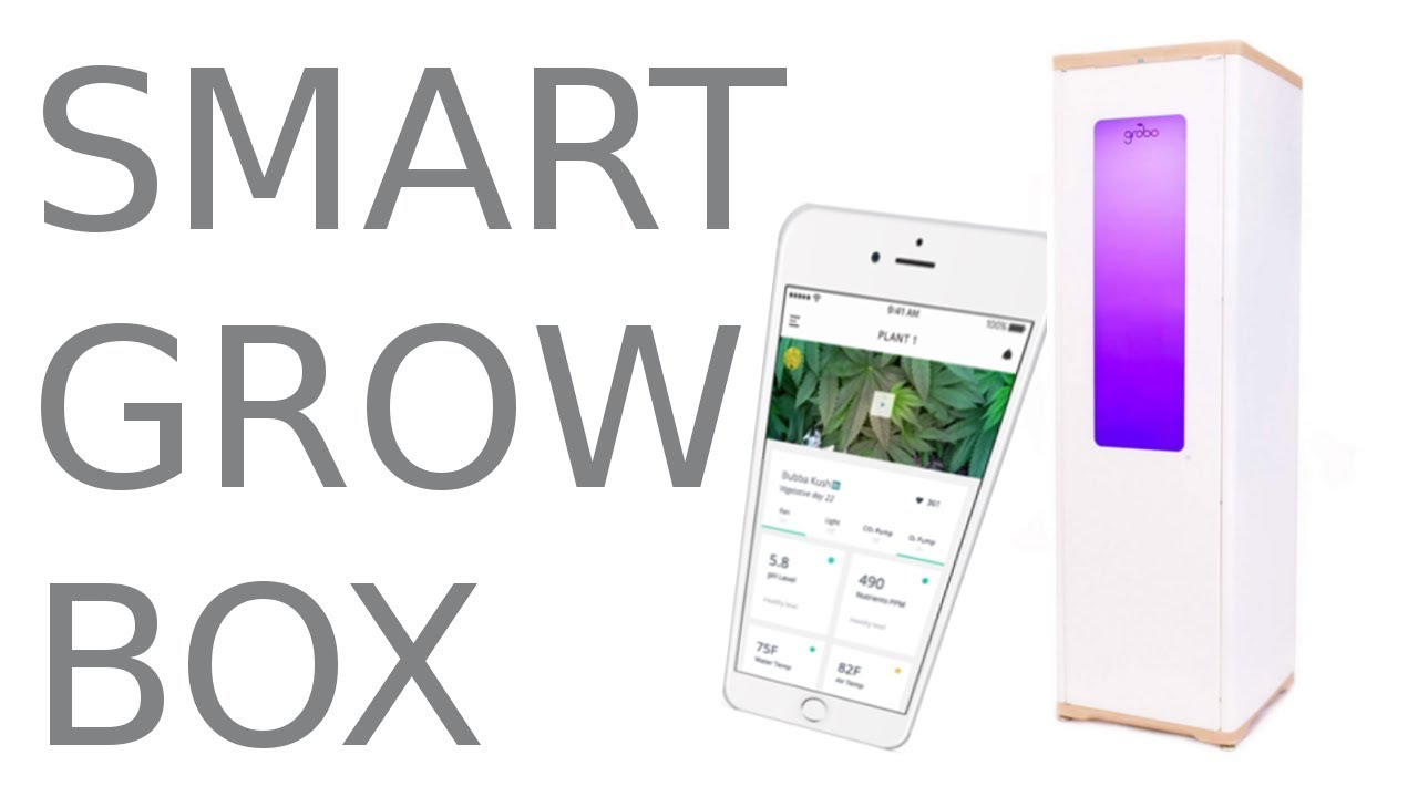 what's a Smart Grow Box - YouTube