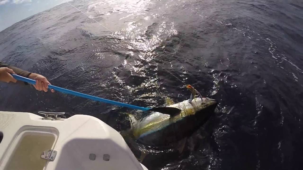 Fishing for Yellowfin off the South Coast NSW - YouTube