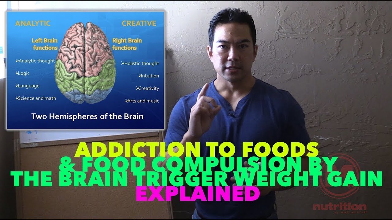 Addiction to Food and Food Compulsion Science Explained Part Of Brain ...