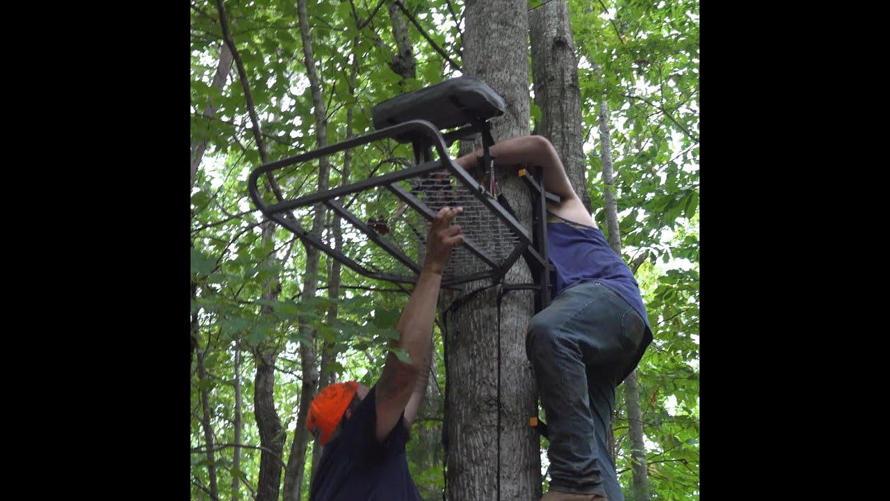Tree Stand Set-Ups for Hunting Season - YouTube