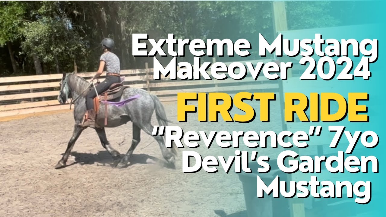 FIRST RIDE- EXTREME MUSTANG MAKEOVER 2024 Devil's garden 7yo gelding ...