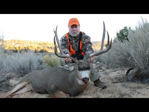 Southern Utah Mule Deer Hunt - Mel Helm & Ray Fragulia - MossBack - YouTube