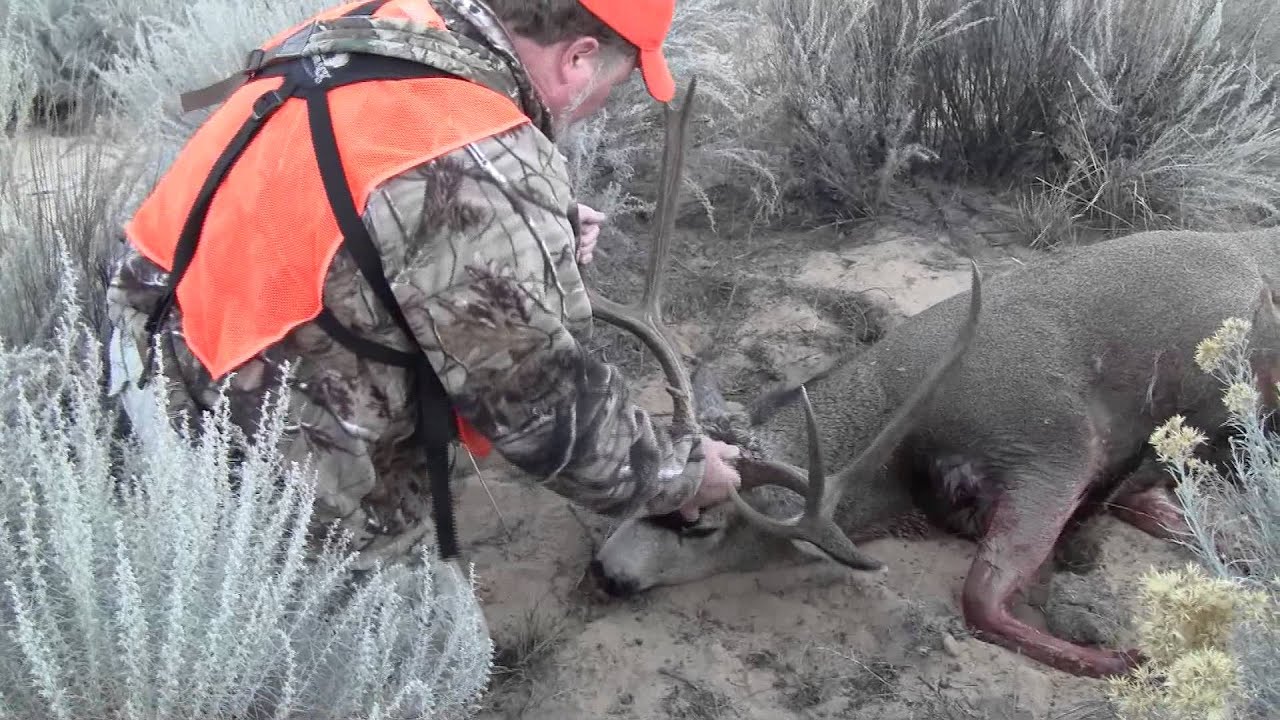 Southern Utah Mule Deer Hunt - Mel Helm & Ray Fragulia - MossBack - YouTube