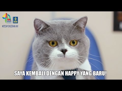 Ramadan bersama Kucing Happy - YouTube