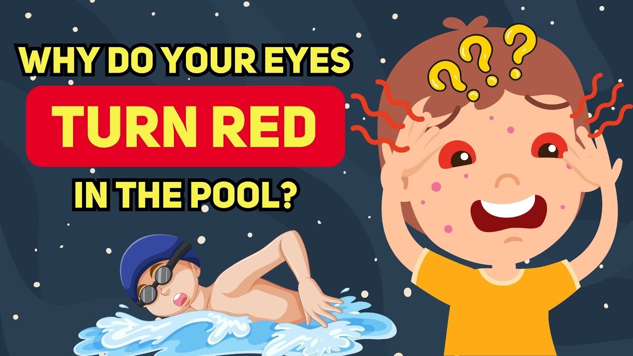 Why do your eyes turn red in the pool? #Science #Discover # ...