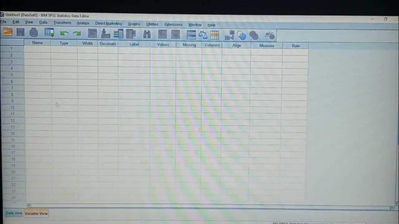 Tutorial Input Data to SPSS - YouTube