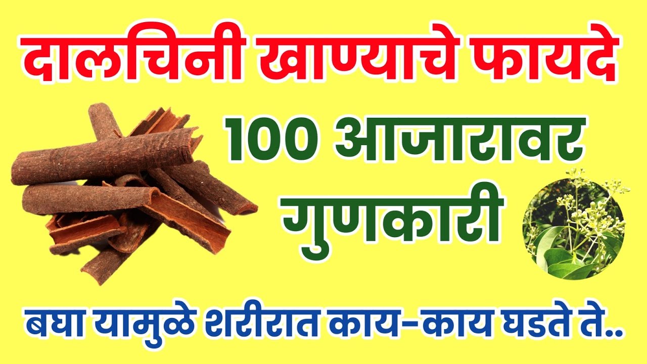 दालचिनी खाण्याचे फायदे | dalchini Khanyache fayde in marathi |Benefits ...