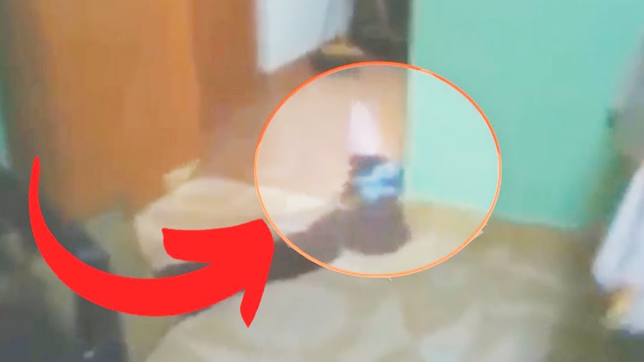 5 TIMES GOBLIN CAUGHT ON CAMERA & SPOTTED IN REAL LIFE! - YouTube