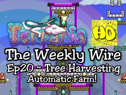 Terraria The Weekly Wire Ep20 Automatic Tree Farm! (1.3 tutorials ...