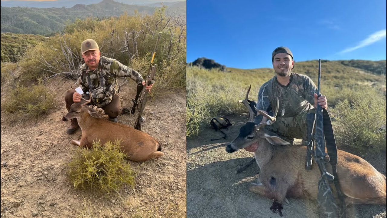 Caceria De Venado En California Zona (A) 2025 dos venados - YouTube
