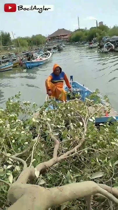 Videoshorts Berangkat Membuat Rumpon Ikan di Laut - YouTube