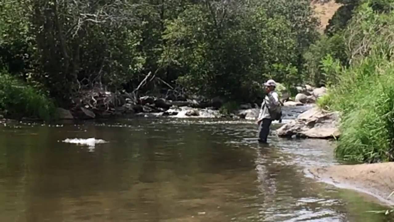 Wyoming Mouse Fishing - YouTube