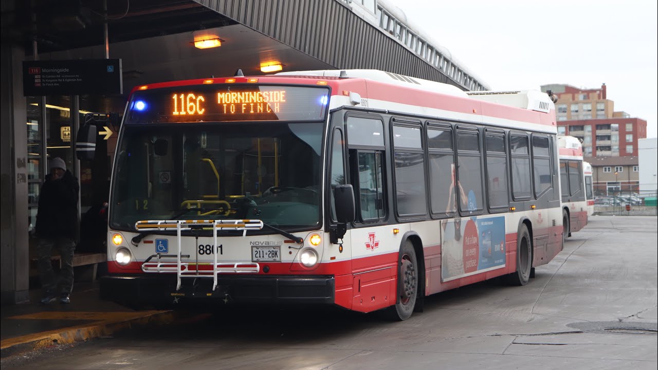 TTC Bus Compilation 19 - YouTube