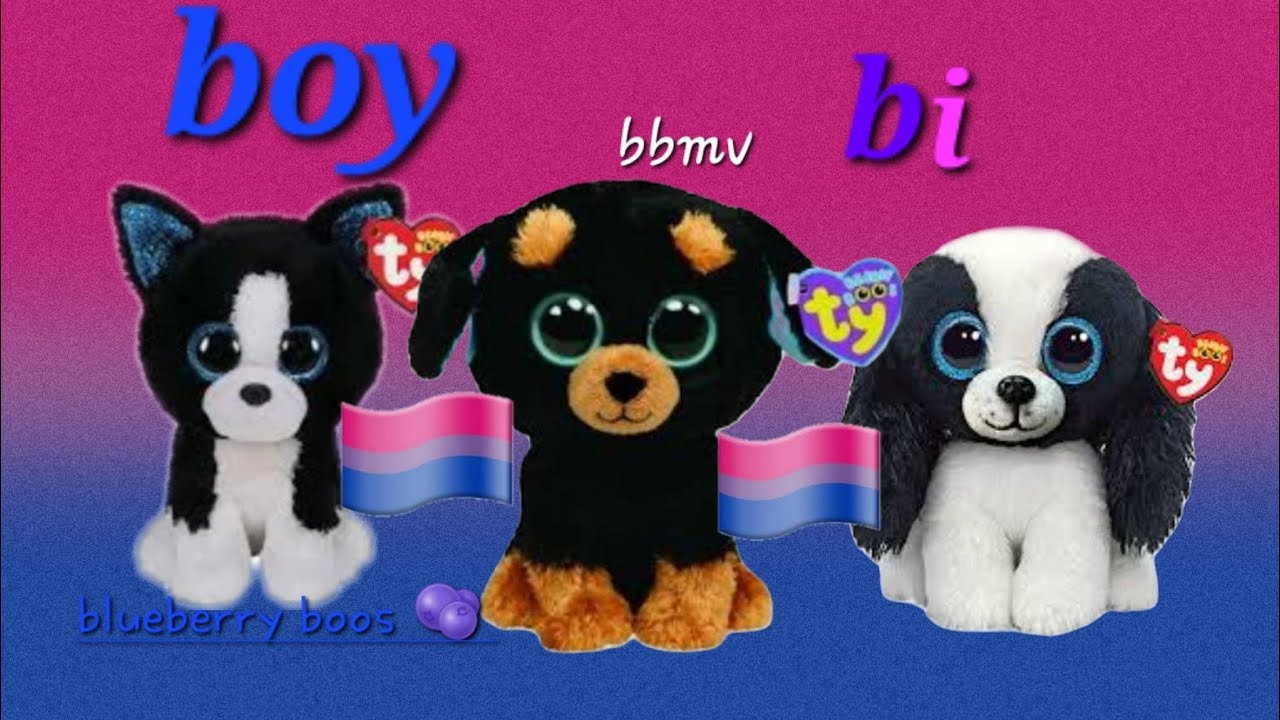 boy bi 🏳️‍🌈 | beanie boo mv | pride month special | blueberry boos 🫐 ...