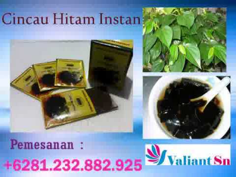 Cincau Powder,Bahan Baku Cincau Hitam, Grass Jelly Powder, +6281-232 ...