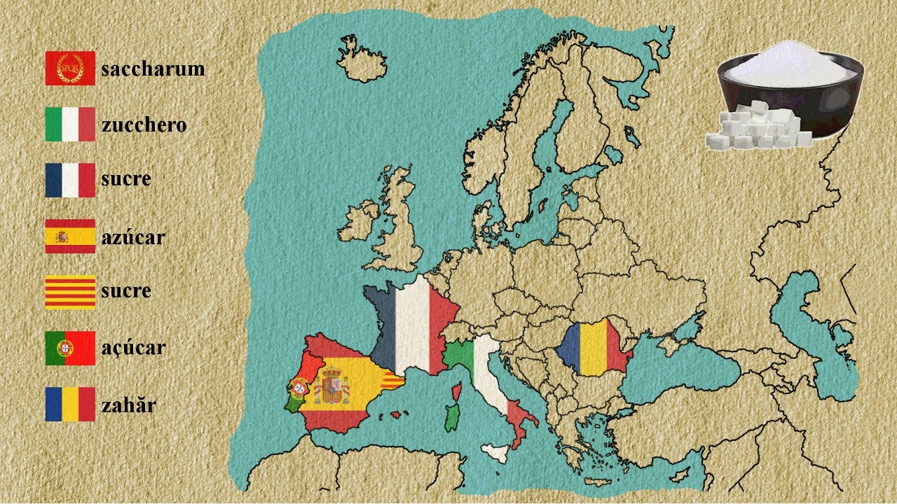 Food - Romance languages comparison (20 words in 7 languages) - YouTube