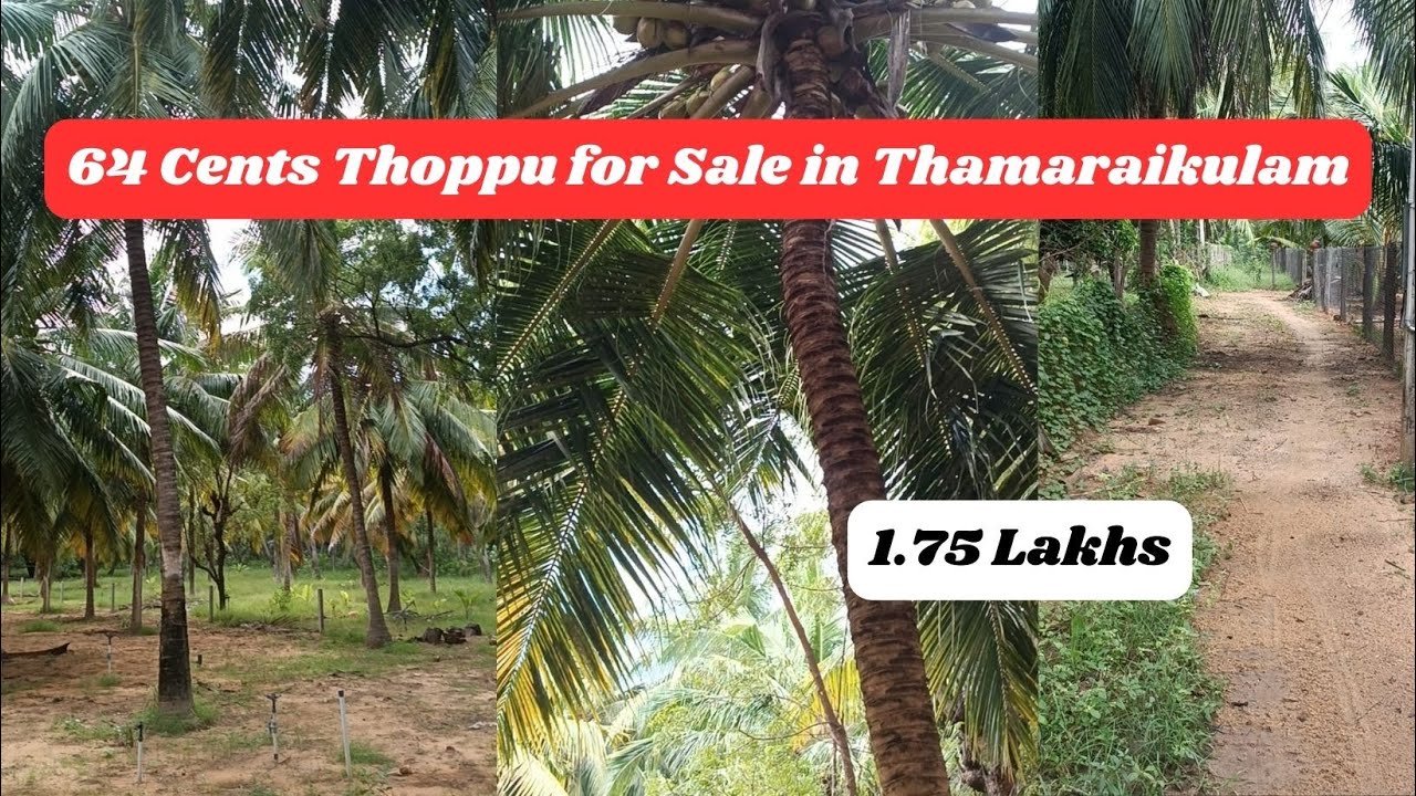 64 Cents #Thoppu for Sale in #Thamaraikulam #lotusrealestate #nagercoil ...