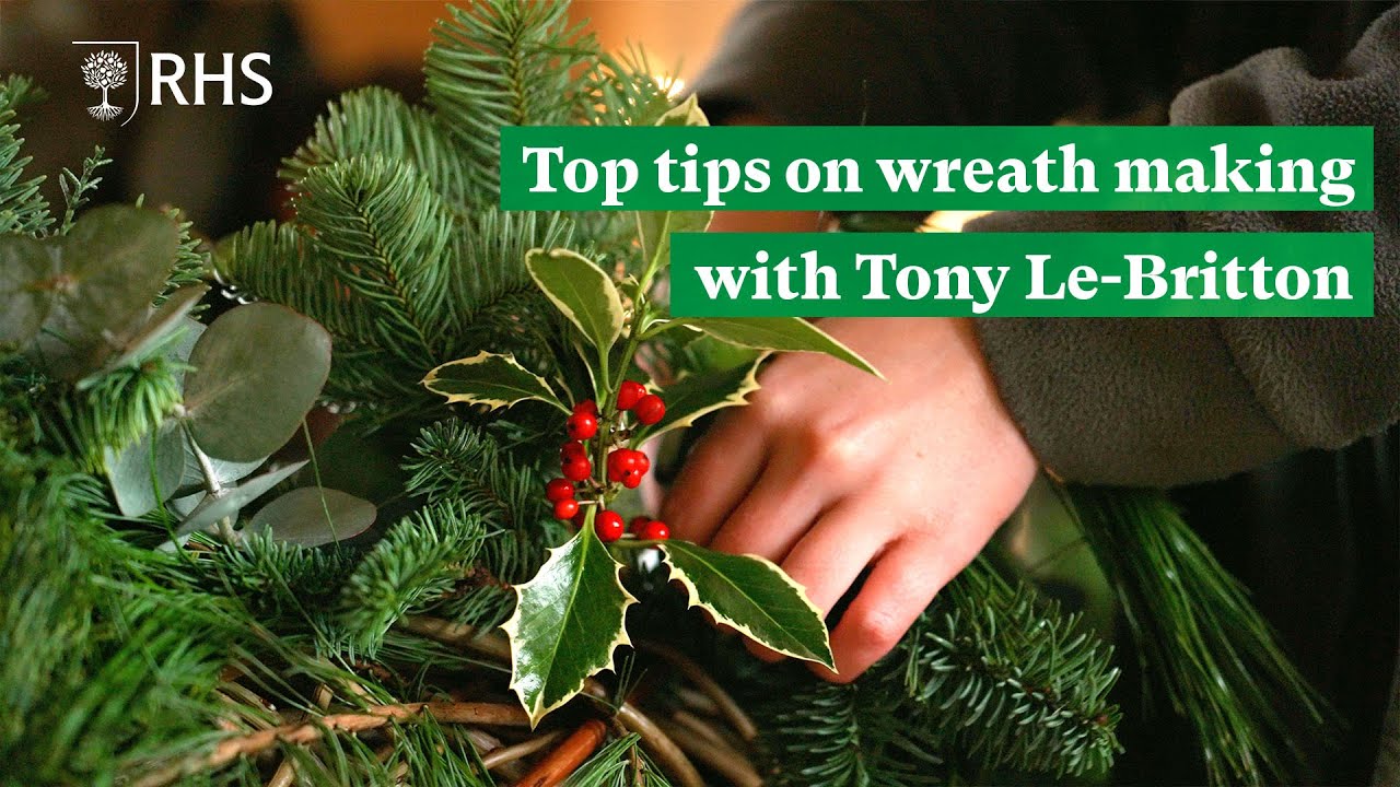 Top tips to make a Christmas wreath, with Tony Le-Britton | The RHS ...