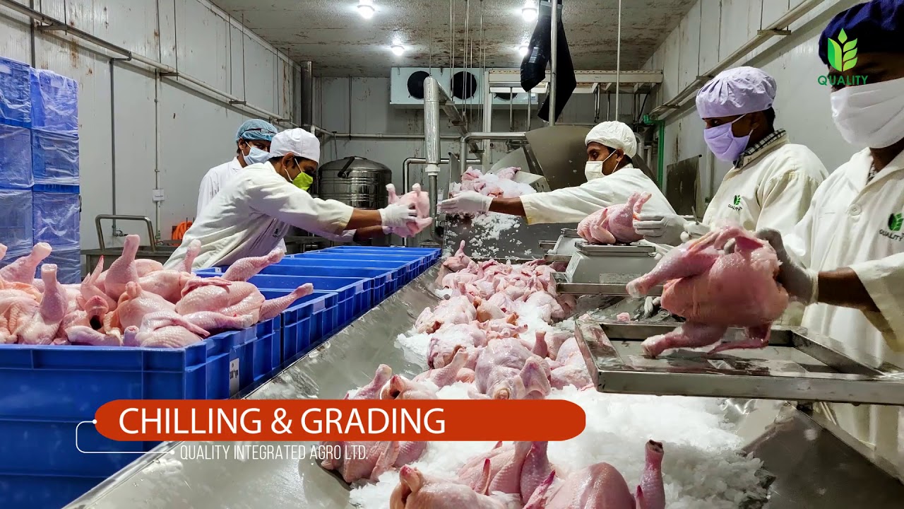 Quality Integrated Agro Ltd AV. - YouTube