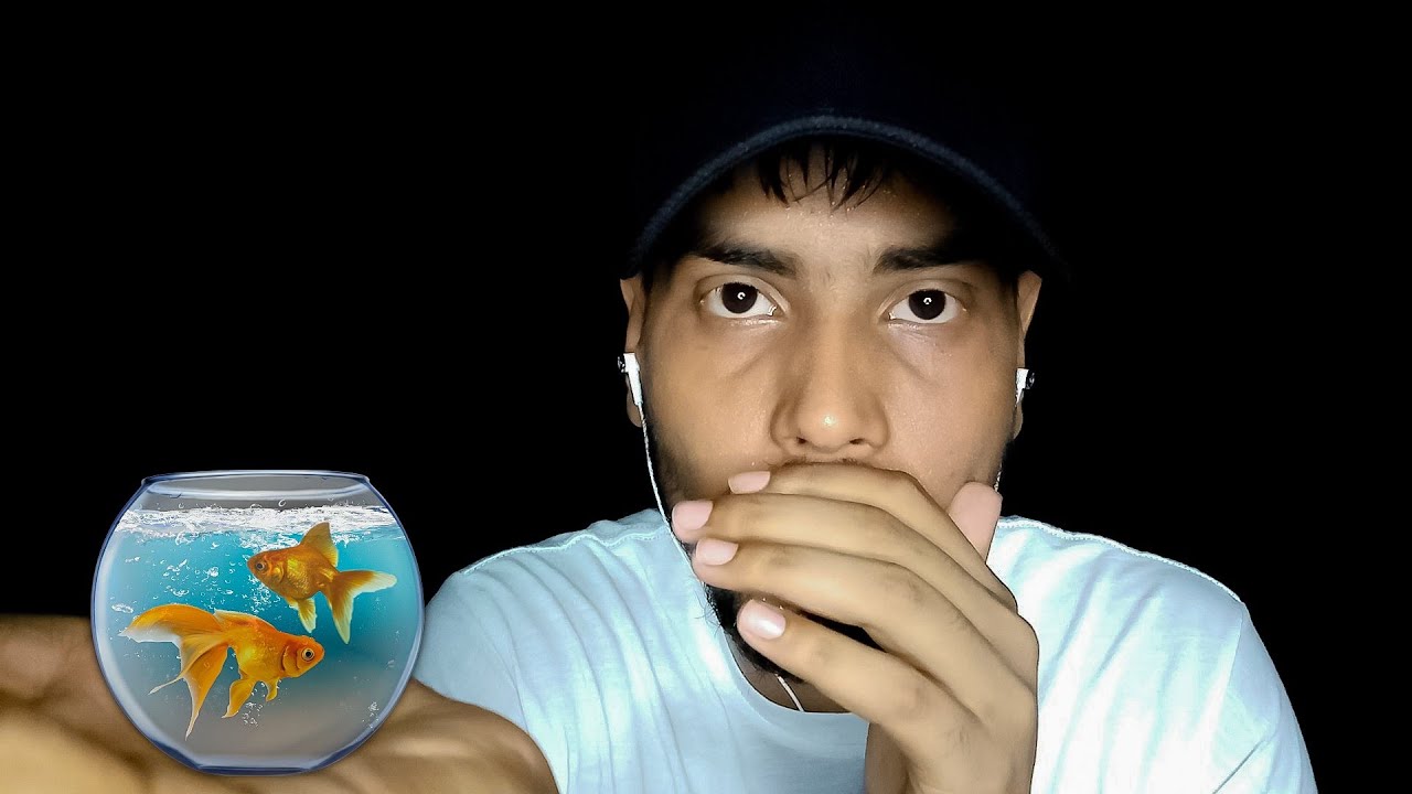 Fishbowl Effect Unpredictable Chaotic Sounds For Sleep ~ ASMR - YouTube