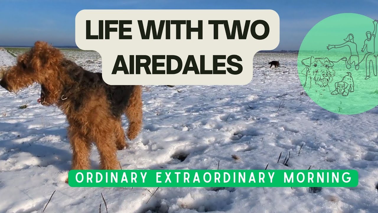 Another ordinary yet extraordinary morning - YouTube
